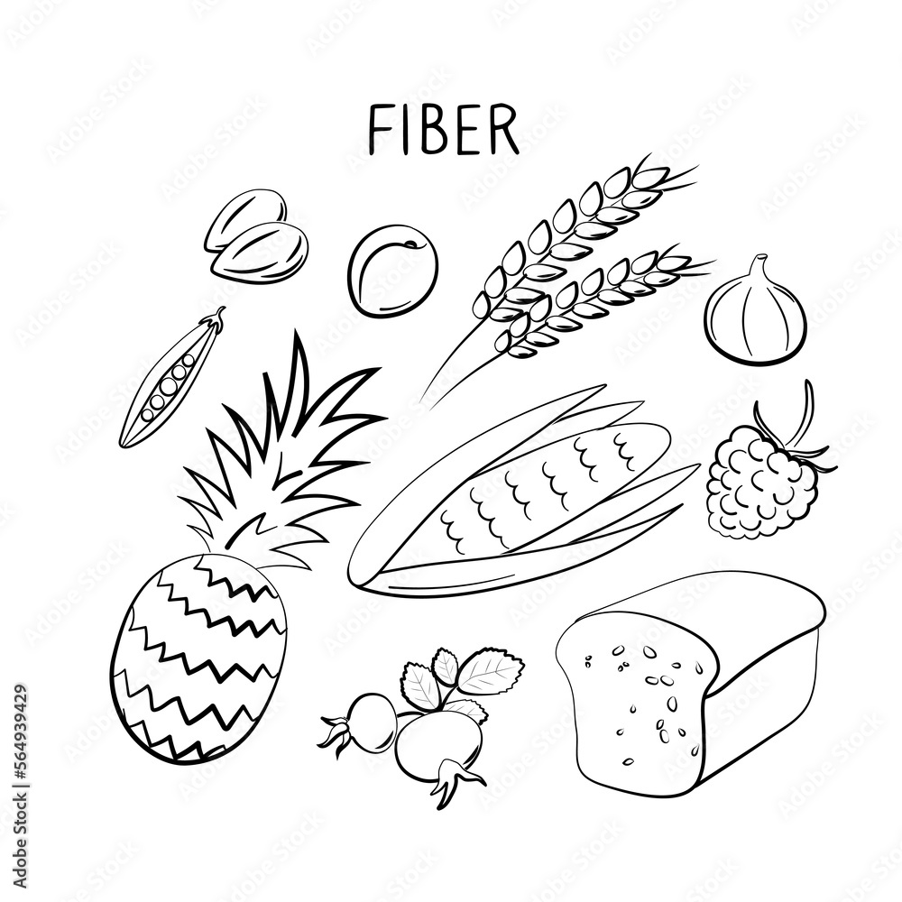 Fiber-containing food. Groups of healthy products containing vitamins ...