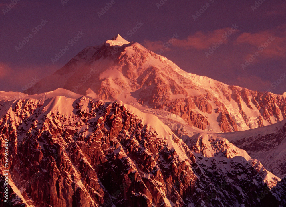 Alpenglow warms the summit slopes of Denali, or Mt. McKinley, at ...