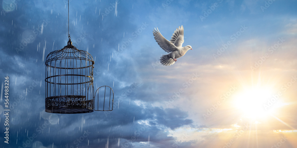 Dove flying to freedom (dove created with generative AI) Stock ...