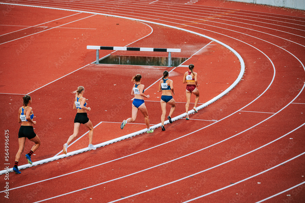 Powerful image of female athletes competing in long distance race ...