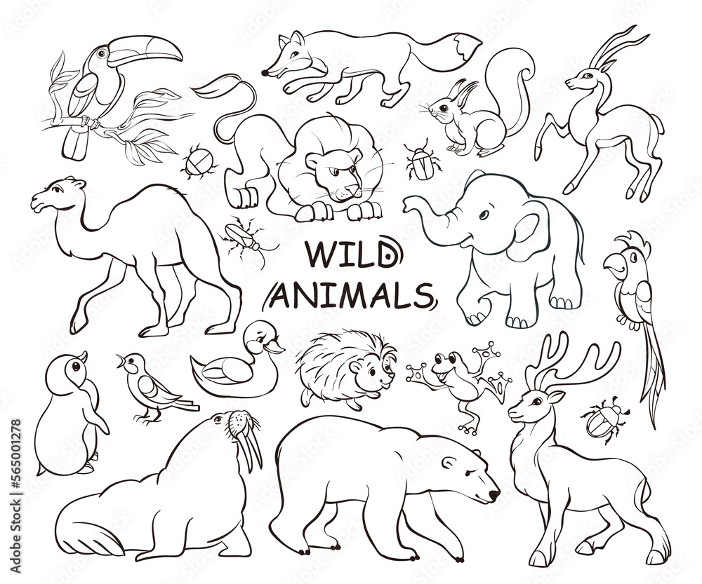 Set of wilde animals doodles, hand drawn icon illustrations on white ...