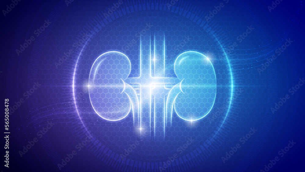 Human Pair of Kidneys Urinary System Futuristic Medical Hologram Neon ...