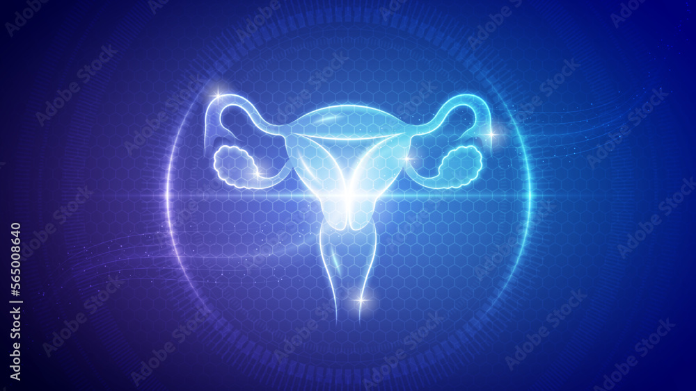 Human Uterus and Ovaries Female Reproductive System Futuristic Medical ...