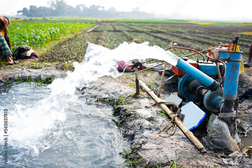 Irrigation of rice fields using pump wells with the technique of ...