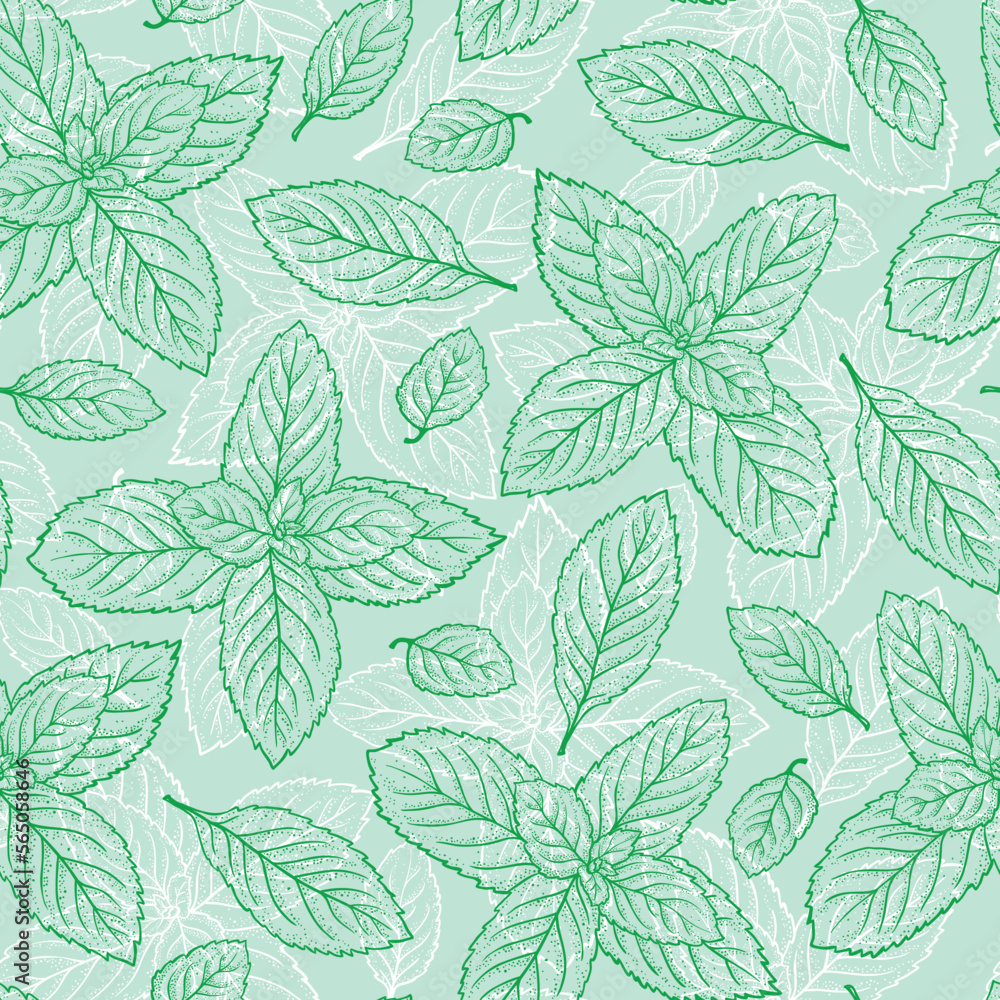 Vector Mint Leaf Seamless Pattern. Peppermint Green Tea. Fresh Mint leaves Background. Medicinal ...