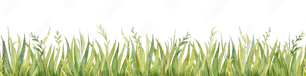 Watercolor seamless border with green grass isolated on white background. Greenery flower for ...