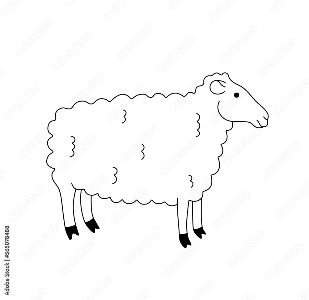 Vector isolated one single standing cute cartoon curly sheep lamb side ...