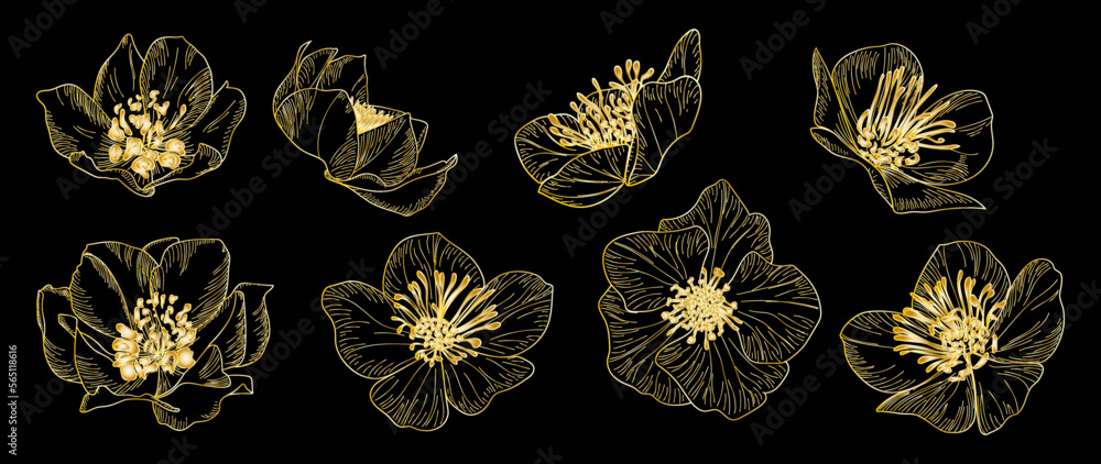 Set of golden spring flowers line art hand-drawn nature painting on ...