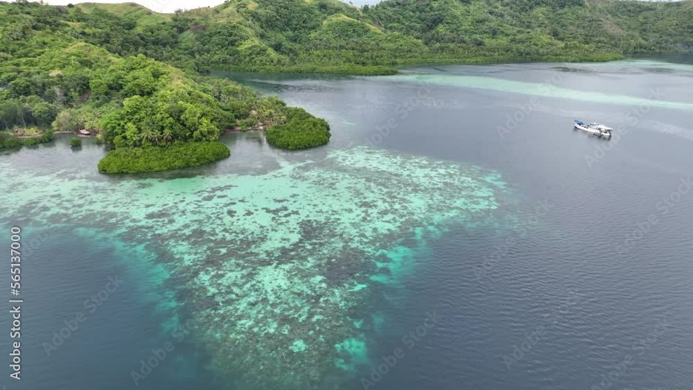Video „Healthy coral reefs fringe a lush island in the Solomon Islands ...