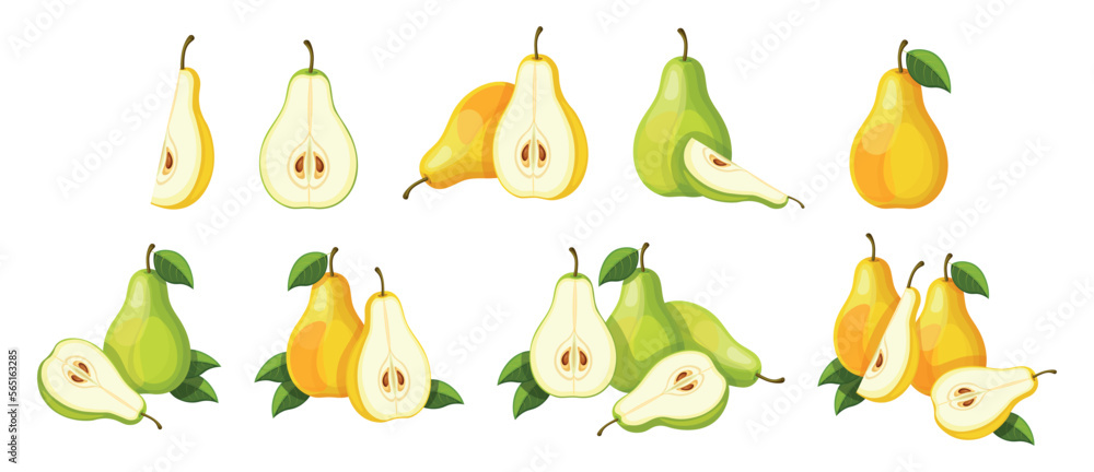 Set of fresh green and yellow pears in cartoon style. Vector ...
