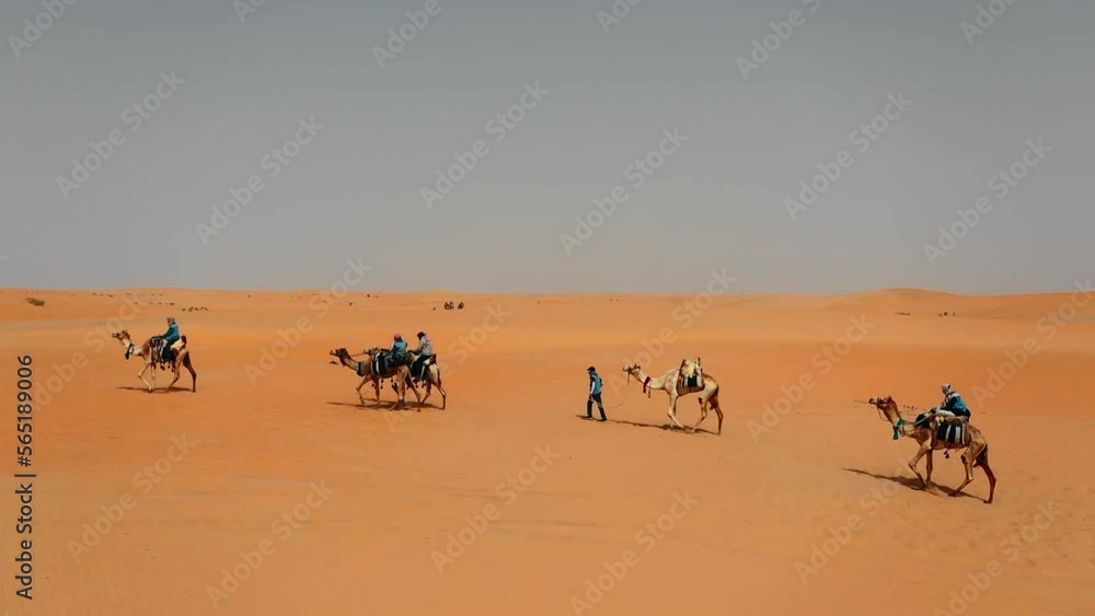 low altitude aerial view showing riders and their camels walking slowly ...