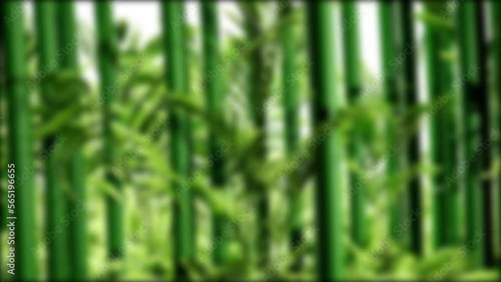 Vidéo Stock Bamboo trees and leaves background moving, green vegetation ...