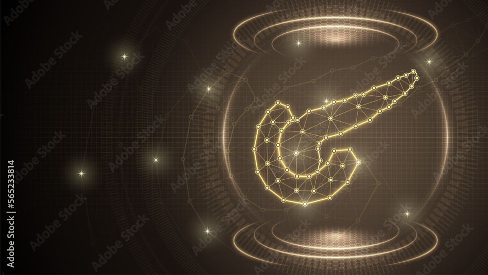 Human Organ Pancreas Endocrine, Digestive System Medical Low Poly ...