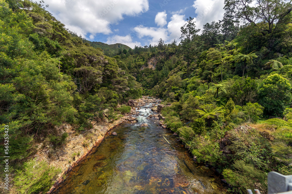 Karangahake Gorge with Waitawheta River flowing through the native ...