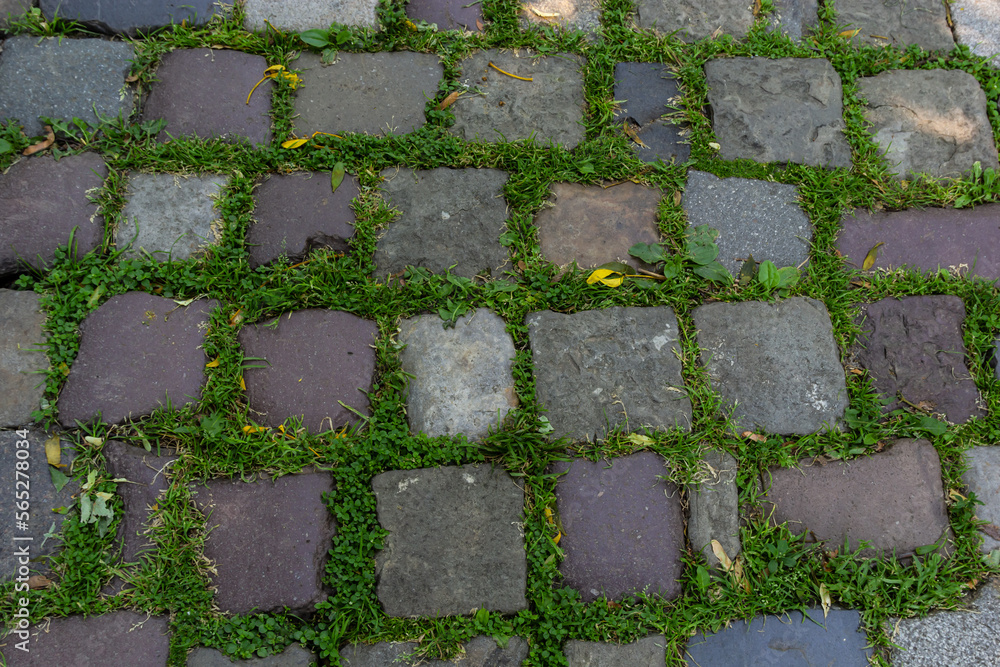 Cobblestone on the road with green grass. Background image on the theme ...