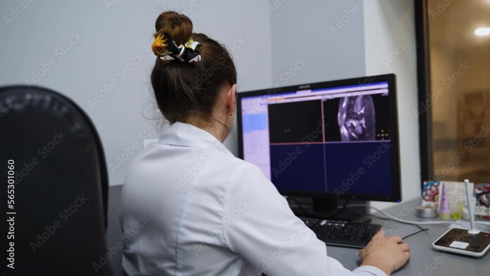 Female lab technician sitting back to camera facing the computer screen ...