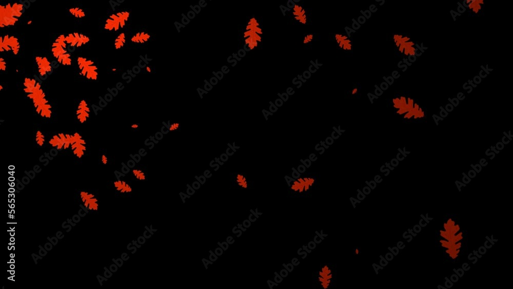 Red leaf falling animation for wedding background. Looped falling ...