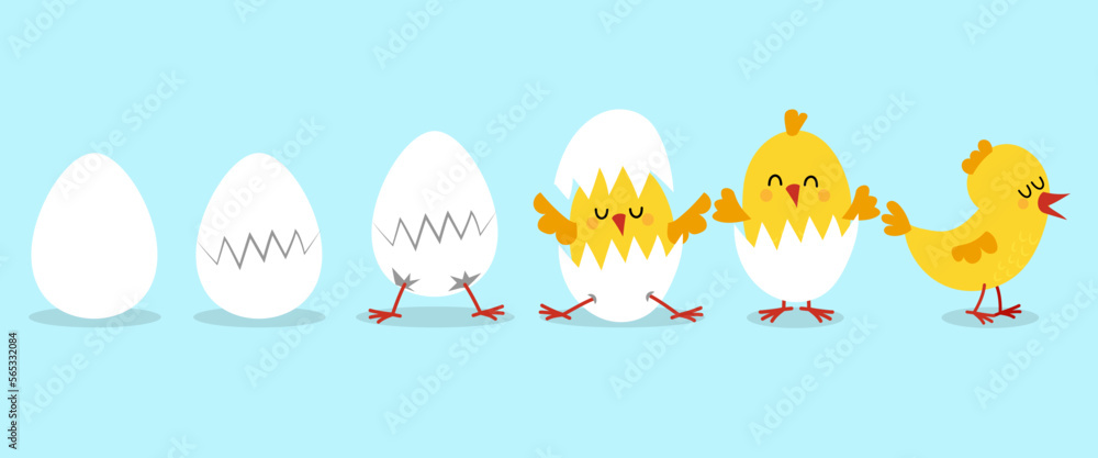 Cute chicks with eggshell and hatching eggs. process baby chicken ...
