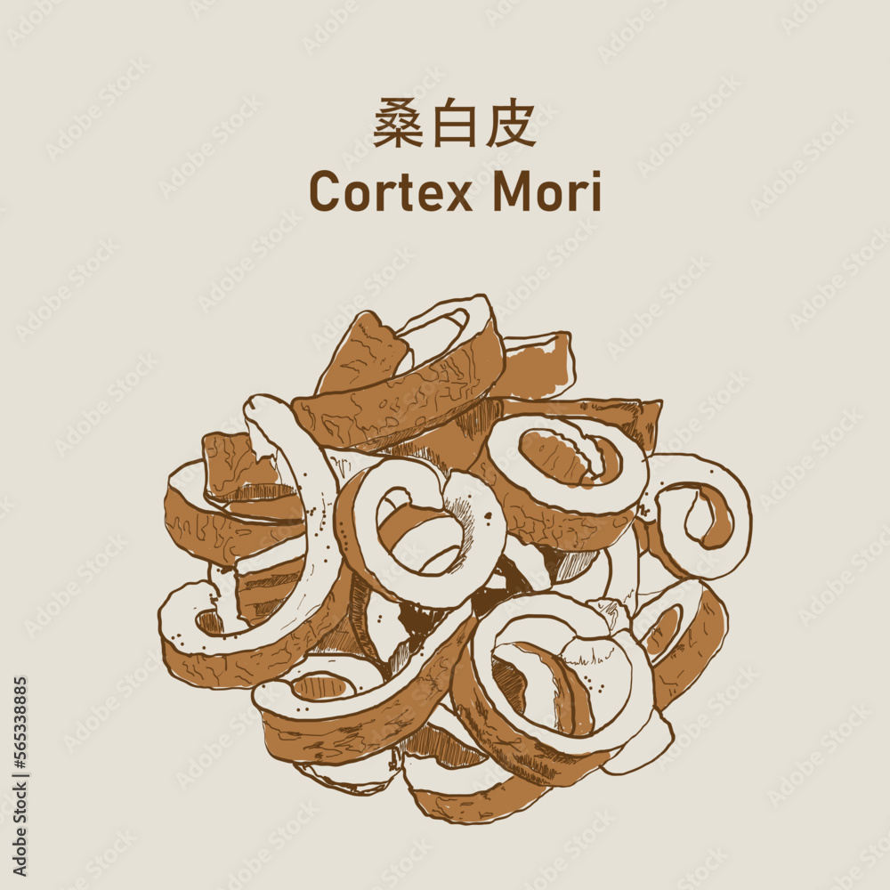 Cortex Mori, cortex dictamni. Cortex Dictamni is a commonly-used ...