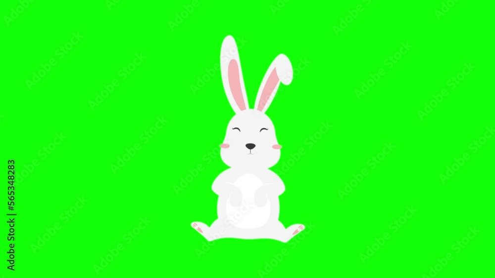cartoon bunny animation with green screen chroma key background Stock ...