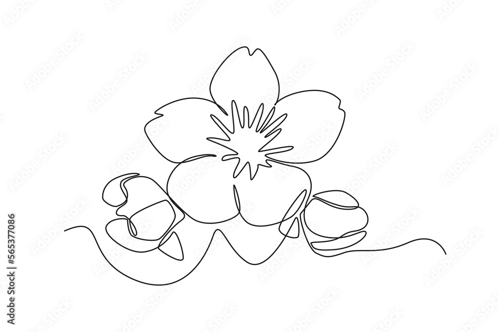 Continuous one line drawing Flower blossom Sakura. Cherry blossom ...