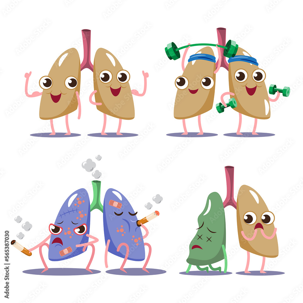 cute lung vector ,illustration, flat cartoon character good health ...