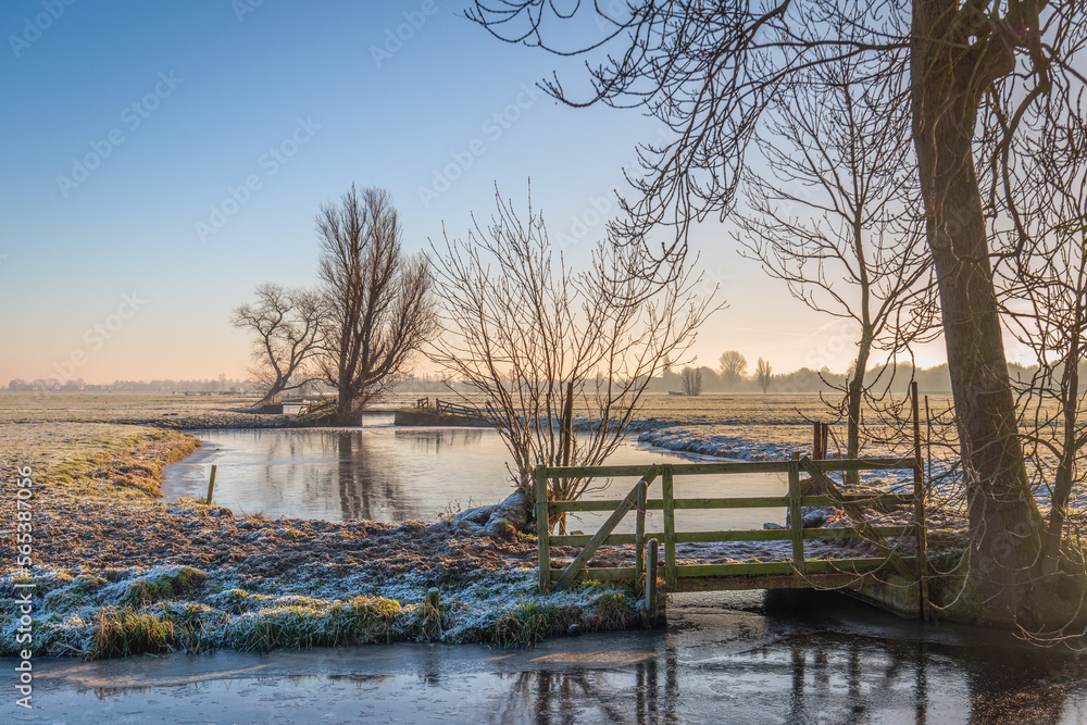 Typical Dutch winter landscape near the South Holland village of ...