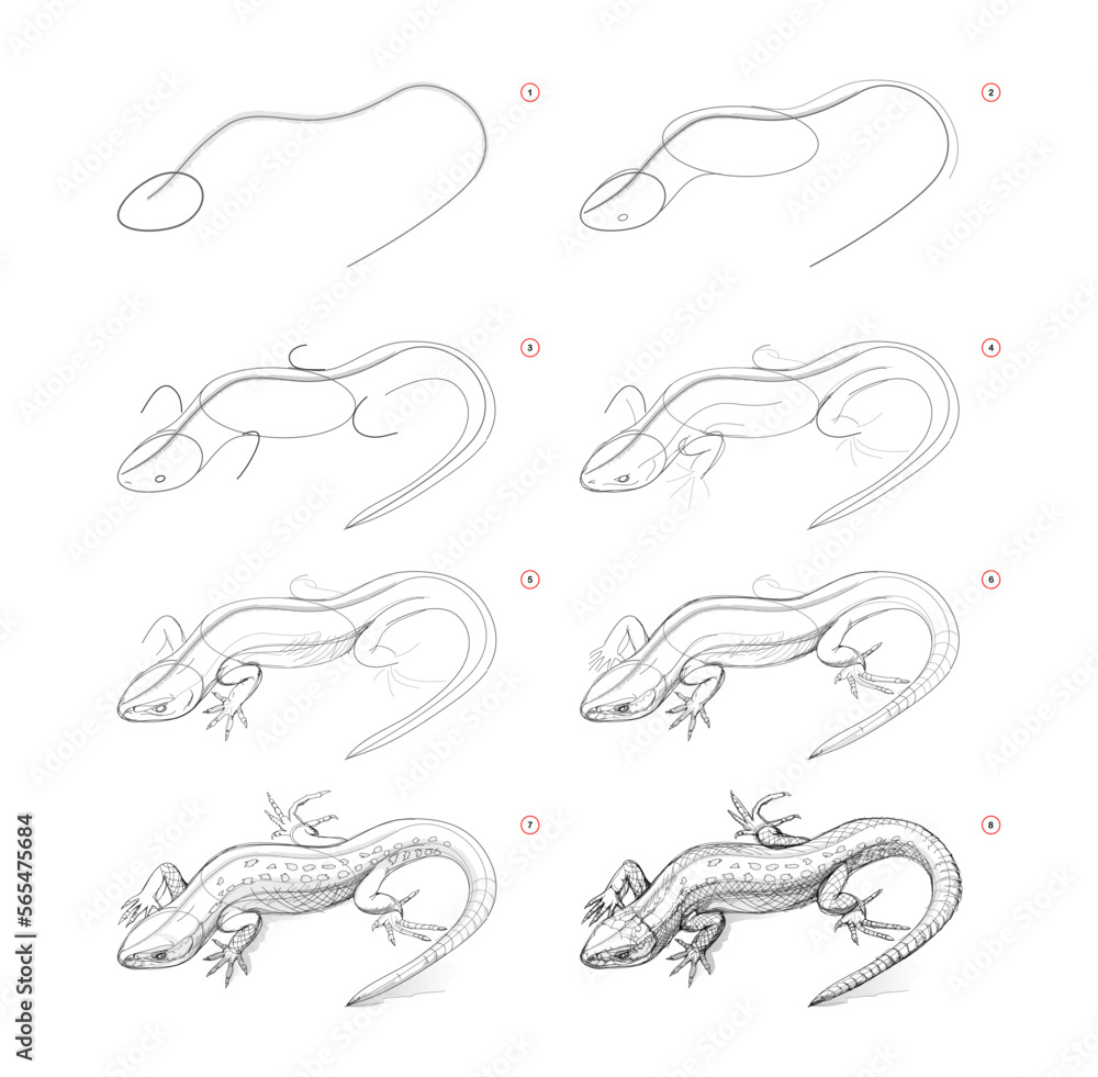 Page shows how to learn to draw sketch of cute little lizard. Pencil ...
