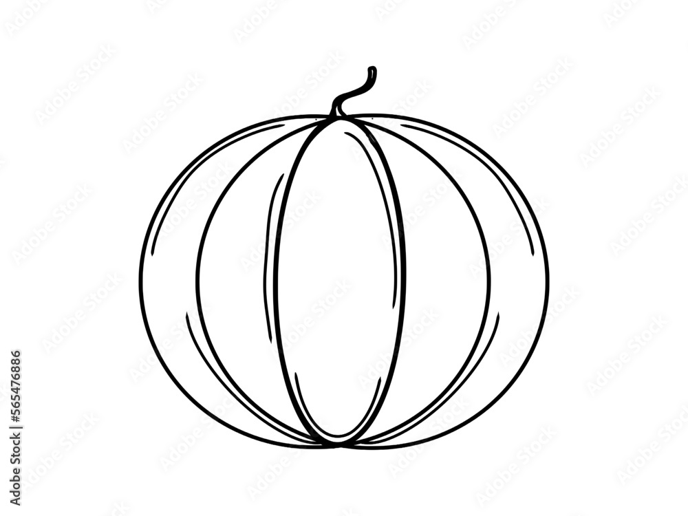 Watermelon, freehand drawing, with a black stroke, on a transparent ...