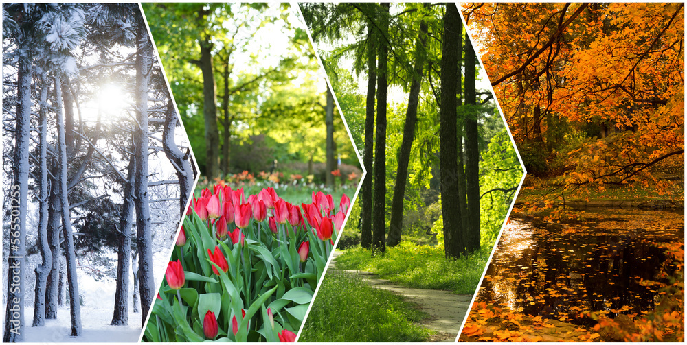 Four seasons. Collage design with beautiful photos of nature Stock ...
