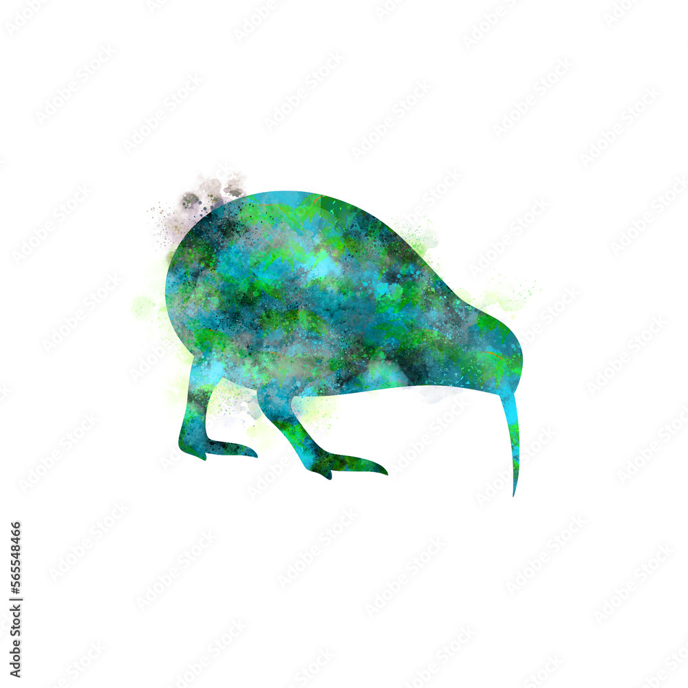 Watercolor Kiwi Bird drawing, silhouette of a Kiwi Bird, Watercolor ...