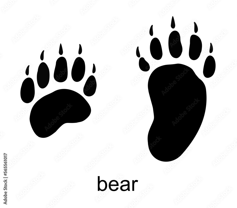 Bear track, bear footprint. Ink, silhouette vector illustration ...