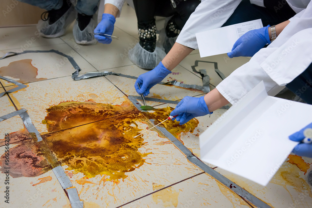 Criminological expert collecting evidence at the crime scene. Law and ...