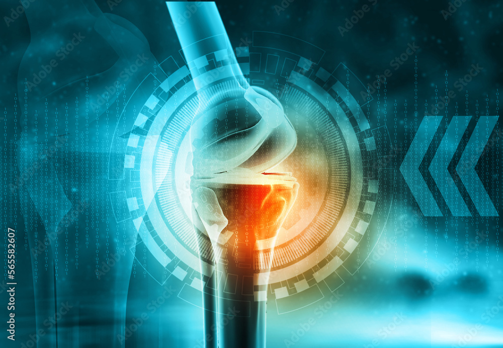 Human knee anatomy diagram. 3d digital illustration. Stock Illustration ...