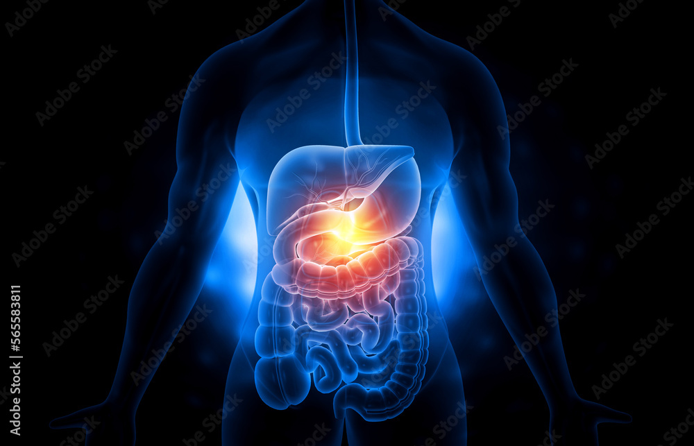 Human digestive system gastric problem. 3d illustration. Stock ...