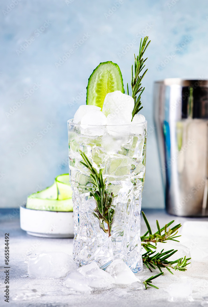 Gin tonic with cucumber cocktail, long drink with dry gin, rosemary ...