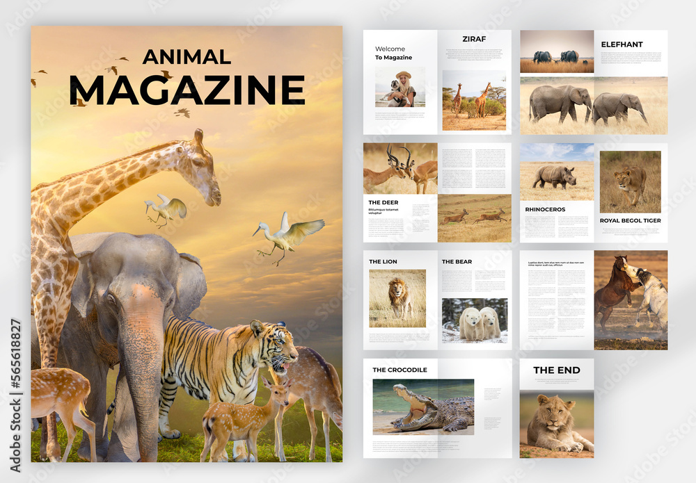 Animal Magazine Layout Stock Template | Adobe Stock