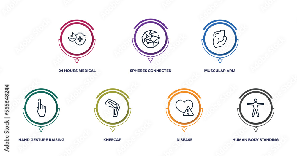 body parts outline icons with infographic template. thin line icons ...