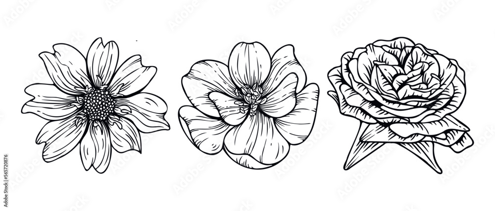 Collection of Hand drawn line art flowers illustration isolated on ...