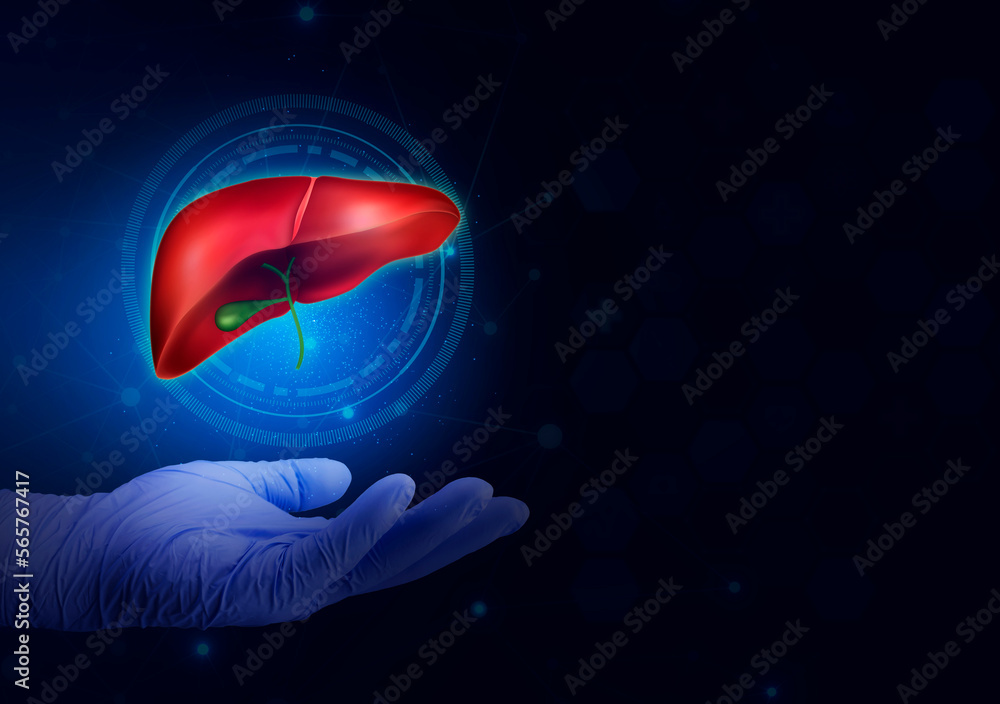 Hand of health personnel showing the liver.Isolated. Hepatologist model ...