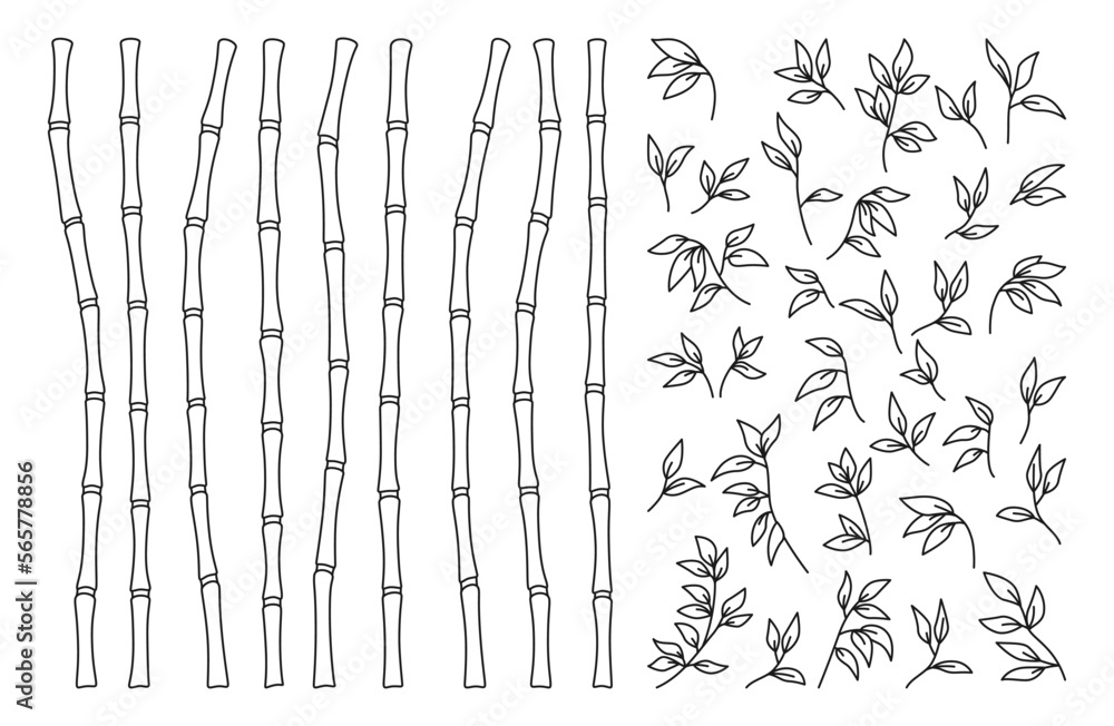 Bamboo stem and leaves outline border set. Exotic decoration elements ...