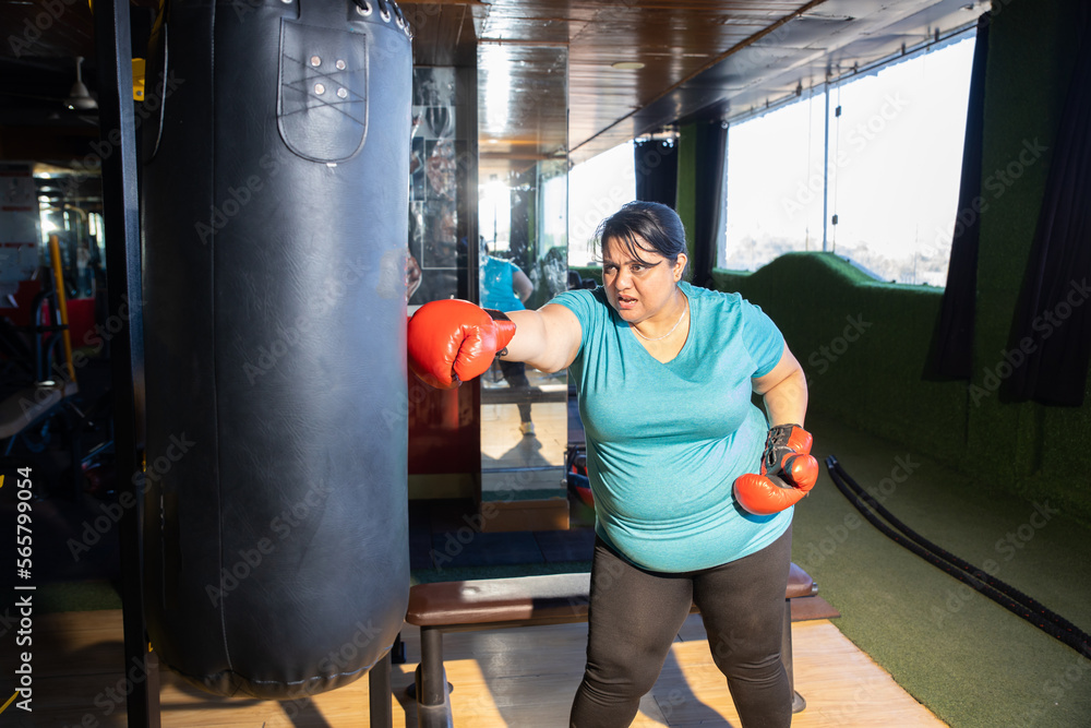 Young overweight indian woman wearing boxing gloves punching bag in gym ...
