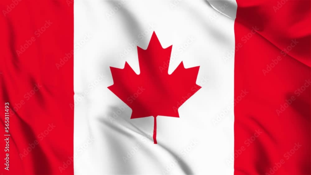 Canadian flag waving in wind, Realistic Canadian Flag, 4k Animation ...
