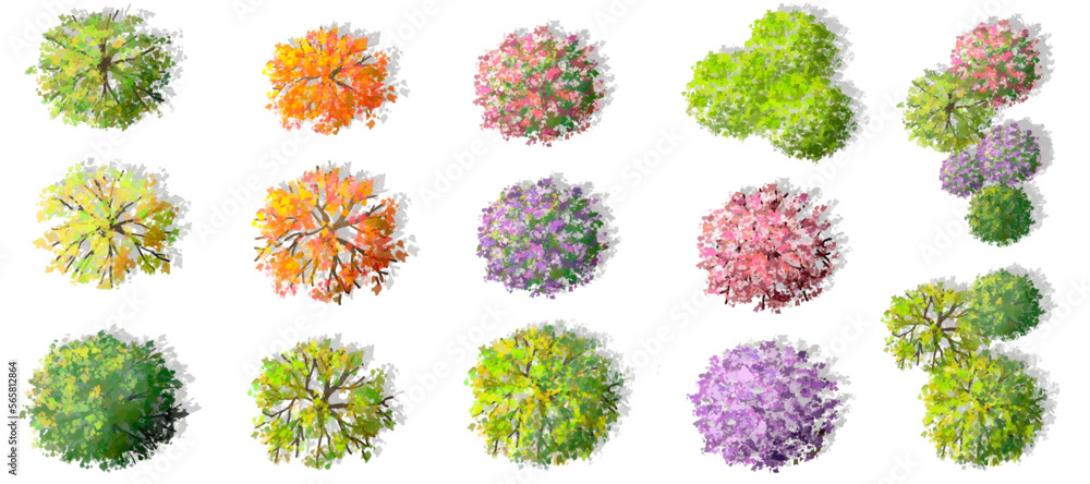 Vector watercolor of blooming tree top view isolated on white ...