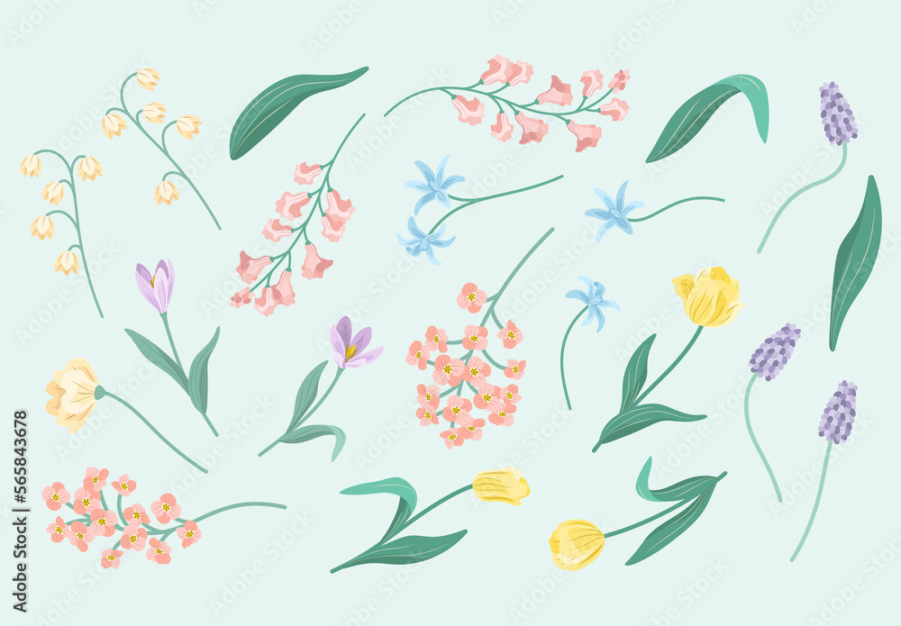 Spring Flowers Stock Template | Adobe Stock
