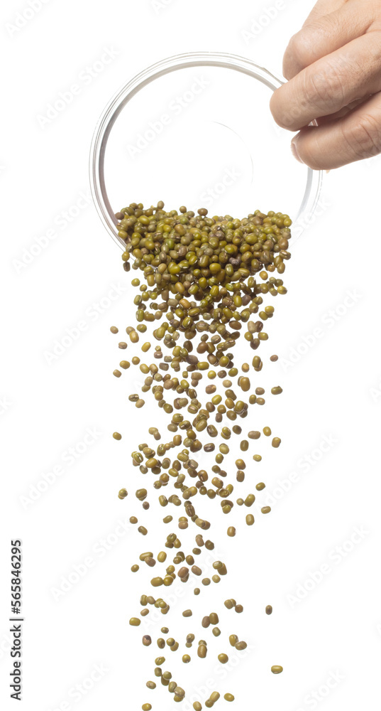 Green mung beans fly throw up in glass bowl, green mung bean float ...