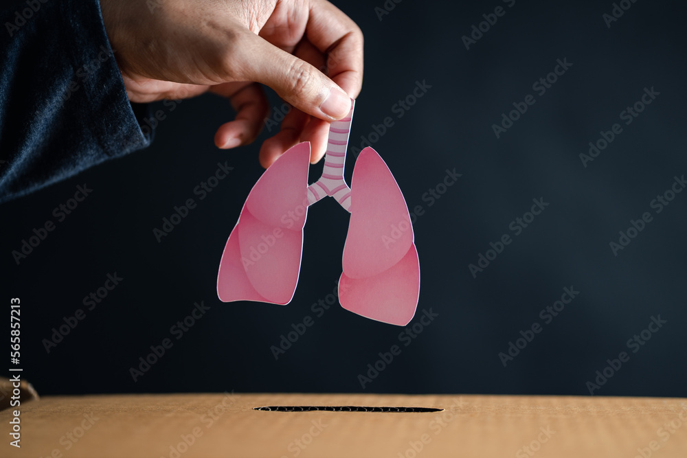 hands drop lung to donation box concept. world tuberculosis day, world ...
