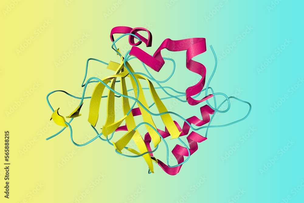 Crystal structure of human carbonic anhydrase in complex with ...