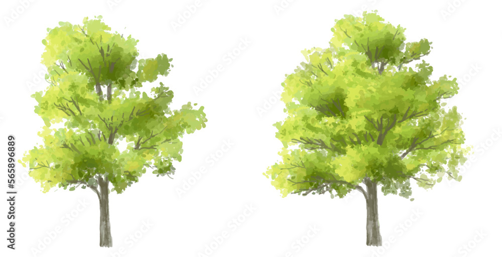 Vector watercolor of tree side view isolated on white background for ...