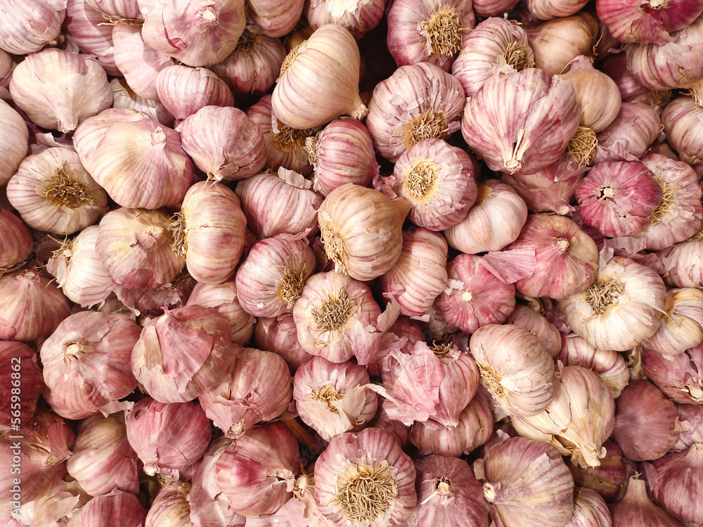 Large pile of garlic on market counter. Food background. Product photo ...